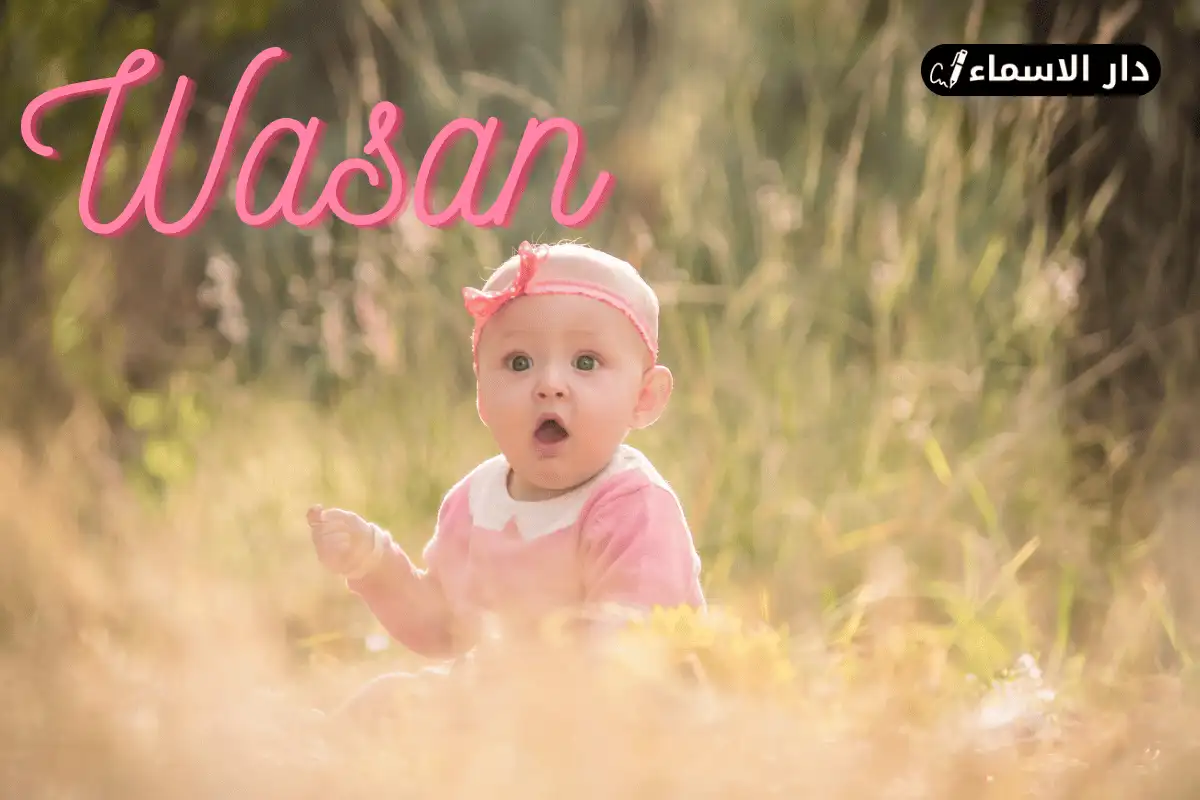 معنى اسم وسن ،الدلع، والصفات، والعيوب، والشخصية - دار الاسماء