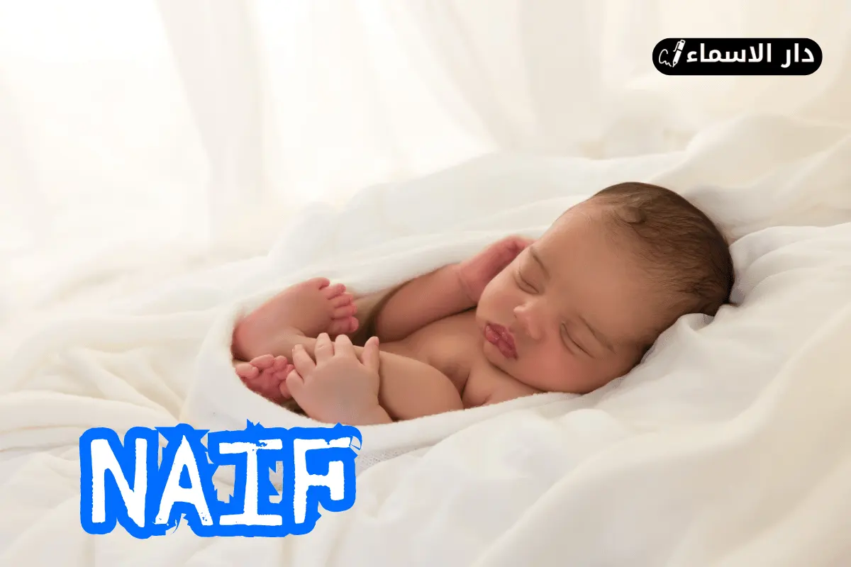 معنى اسم نايف ،الدلع، والصفات، والعيوب، والشخصية - دار الاسماء